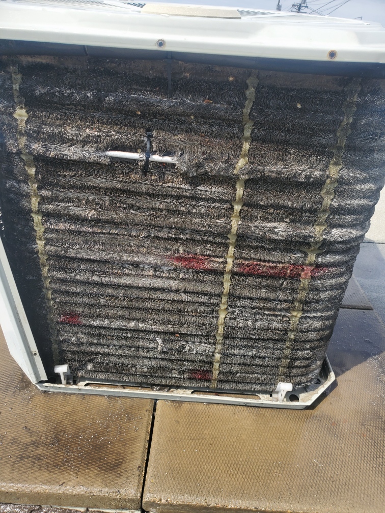 After picture from my previous post. Night and day difference. | Scrolller