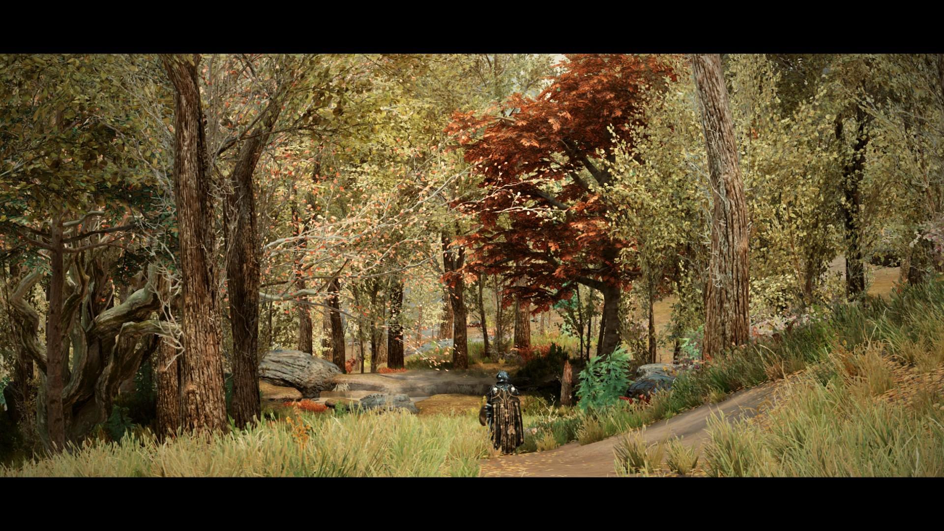 Afternoon stroll | Scrolller