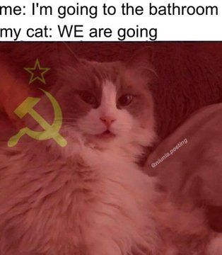 ah, yes comrade | Scrolller