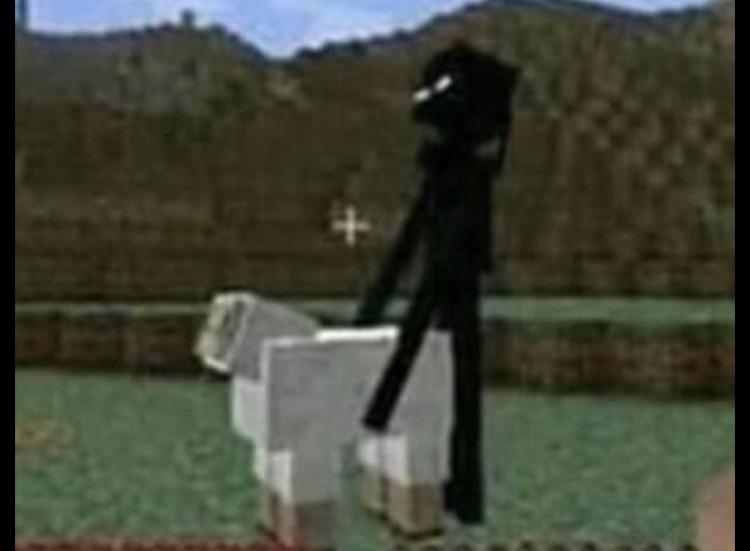 Ah yes, "held sheep" | Scrolller