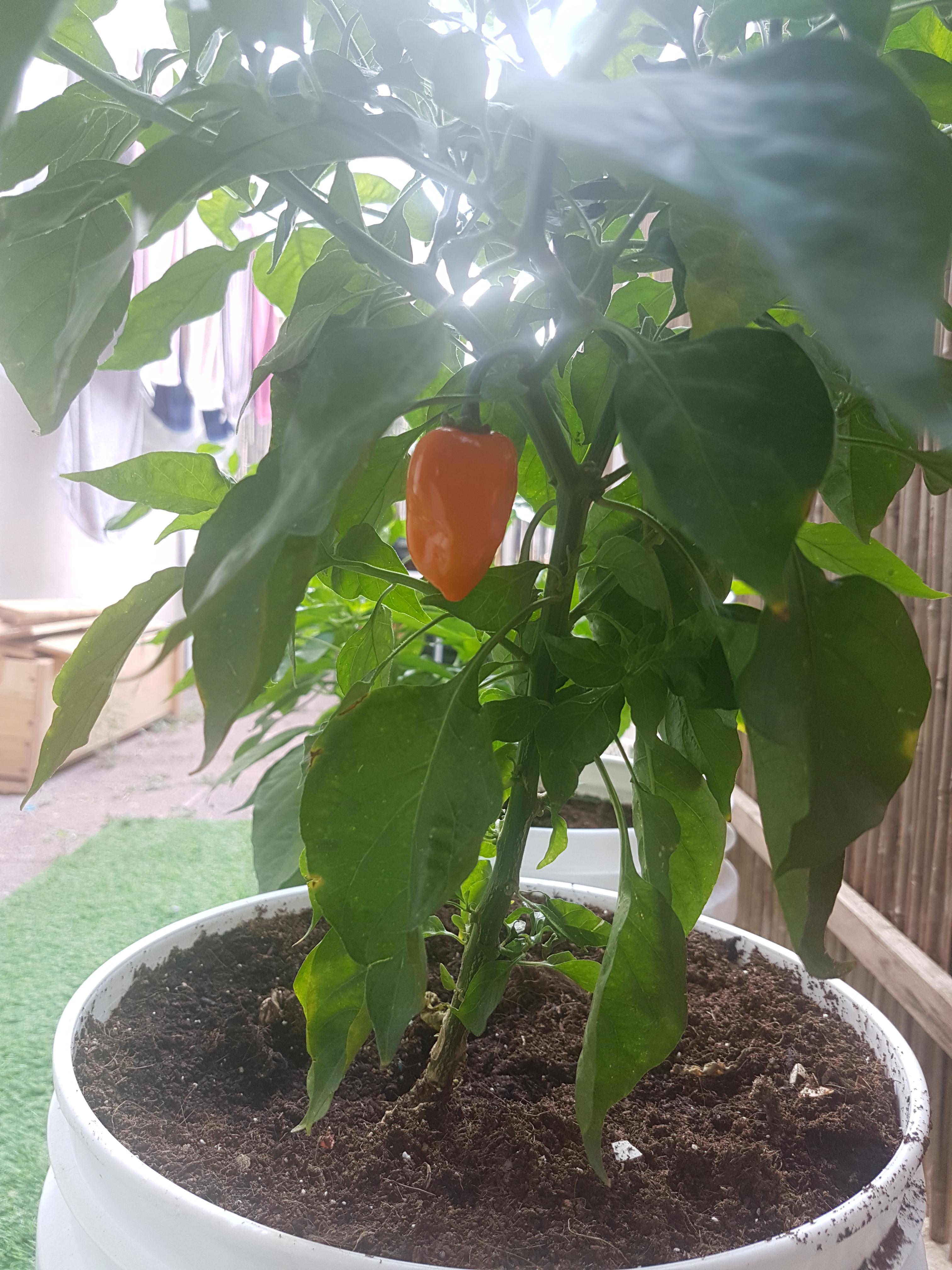 ain't much but it's honest work | Scrolller