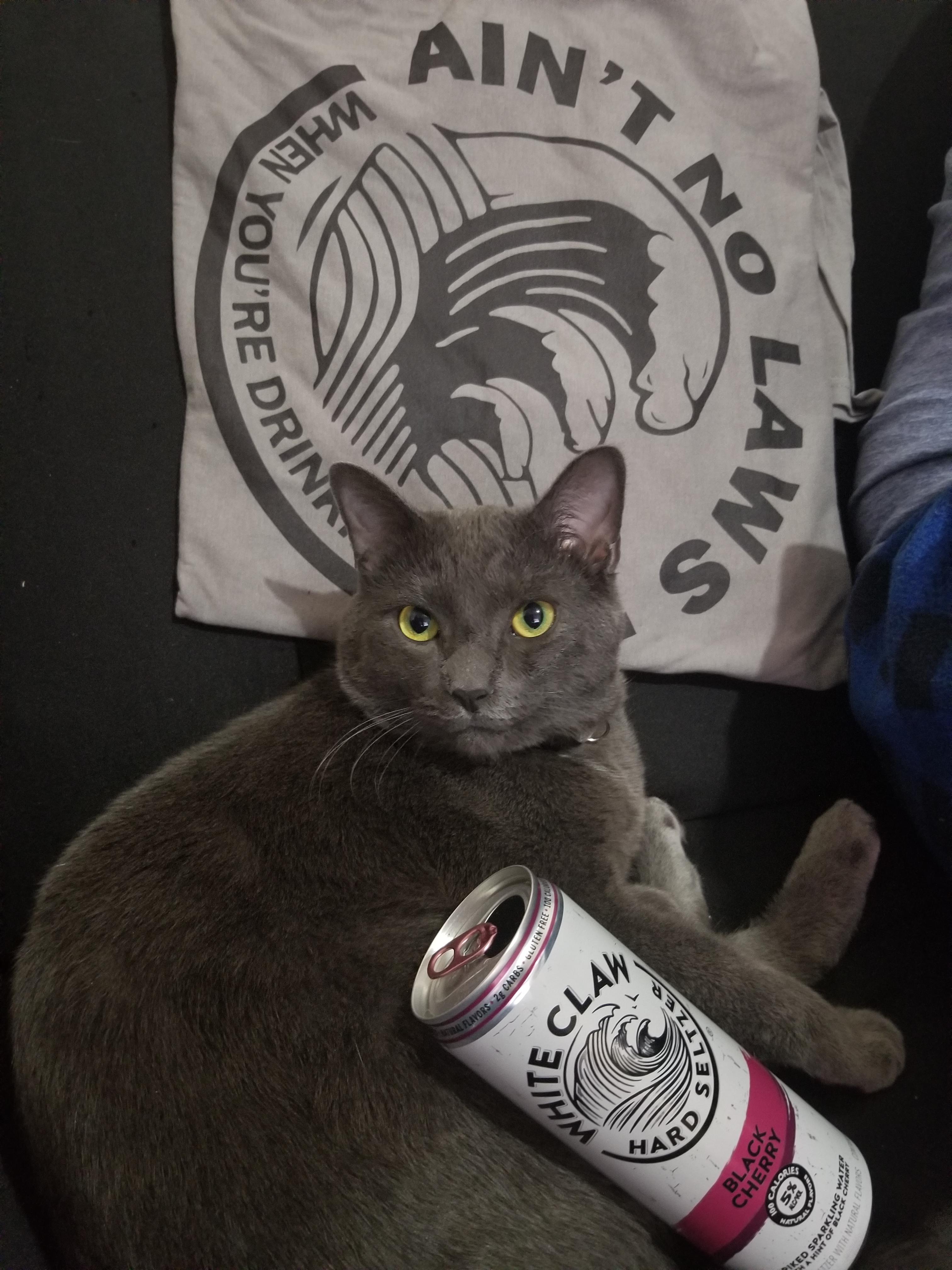 Ain't no laws | Scrolller