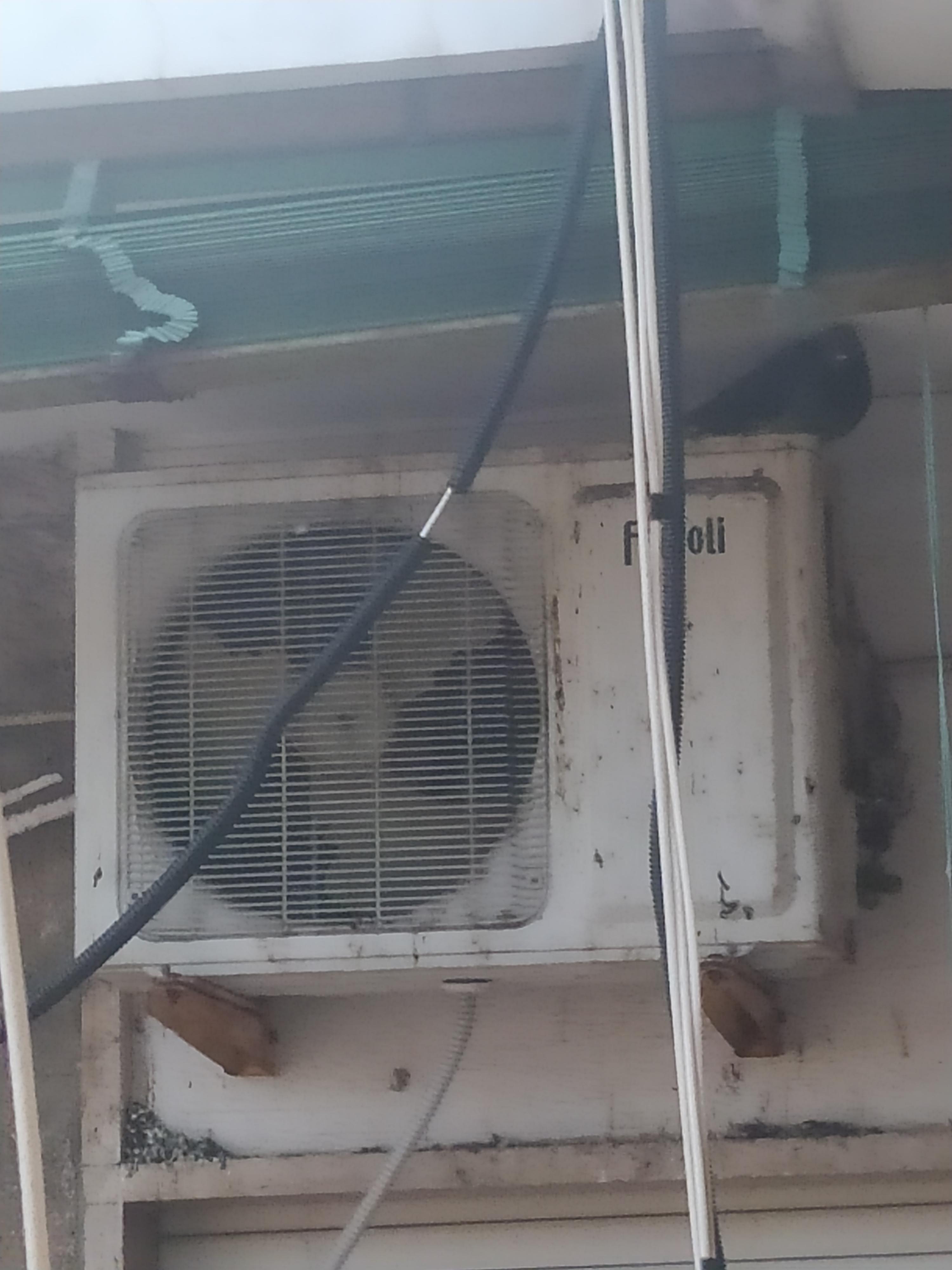 Air conditioner fan assaulted by pigeons | Scrolller