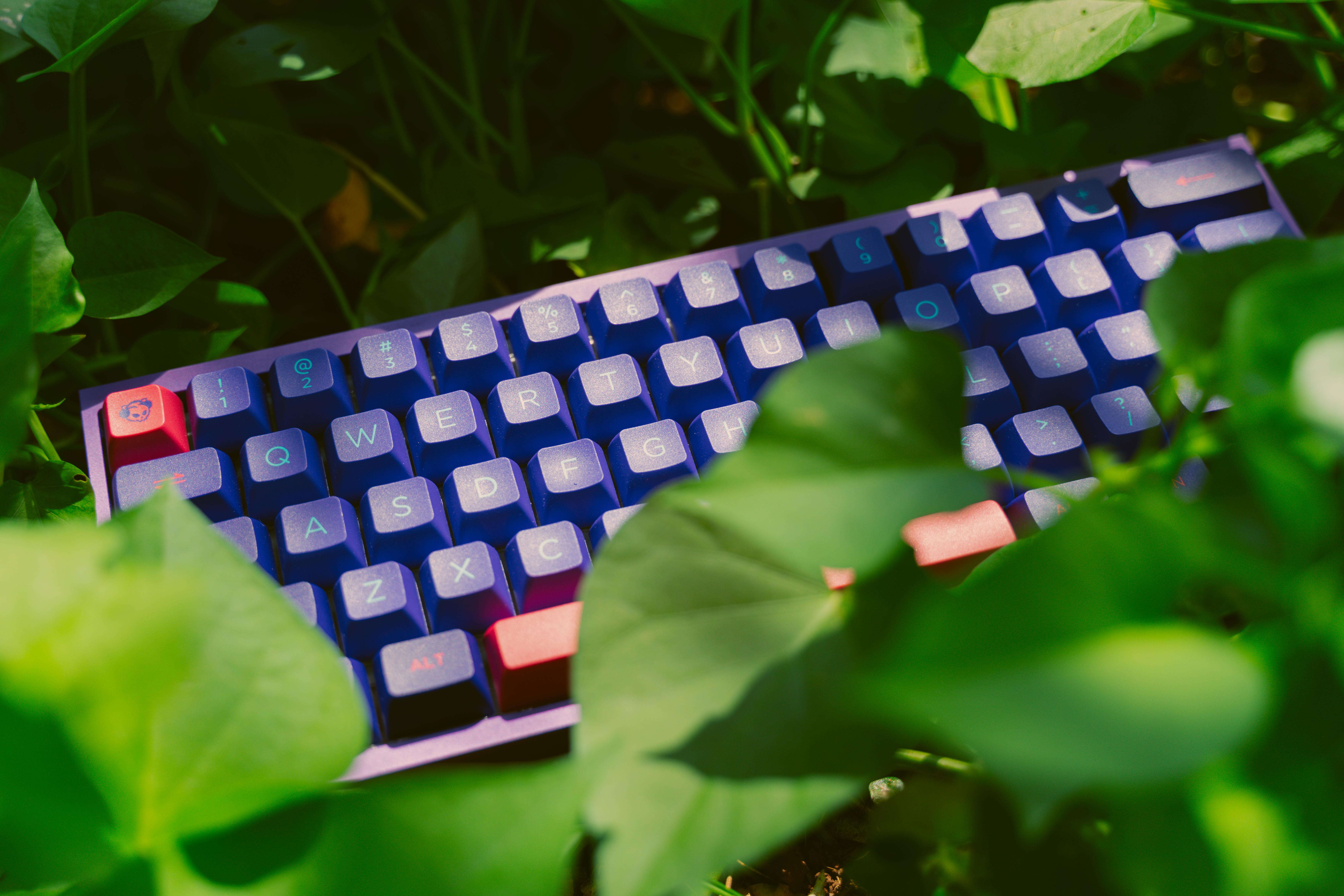 Akko & KBDfans | Scrolller