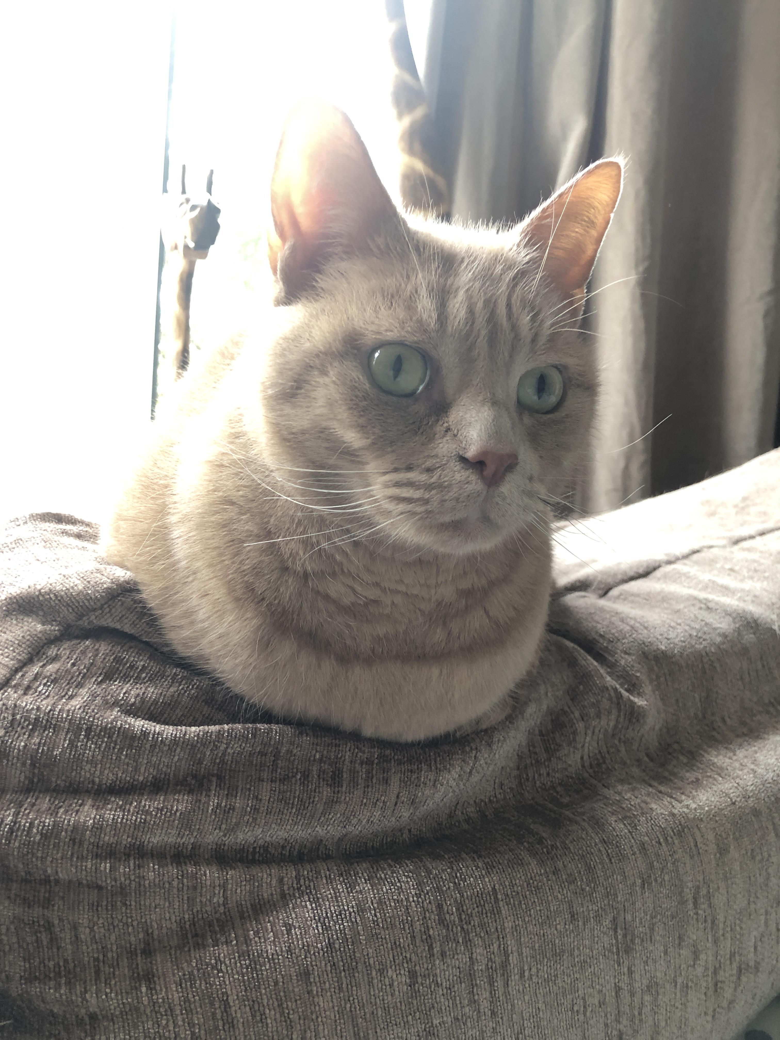 Alarmed loaf | Scrolller