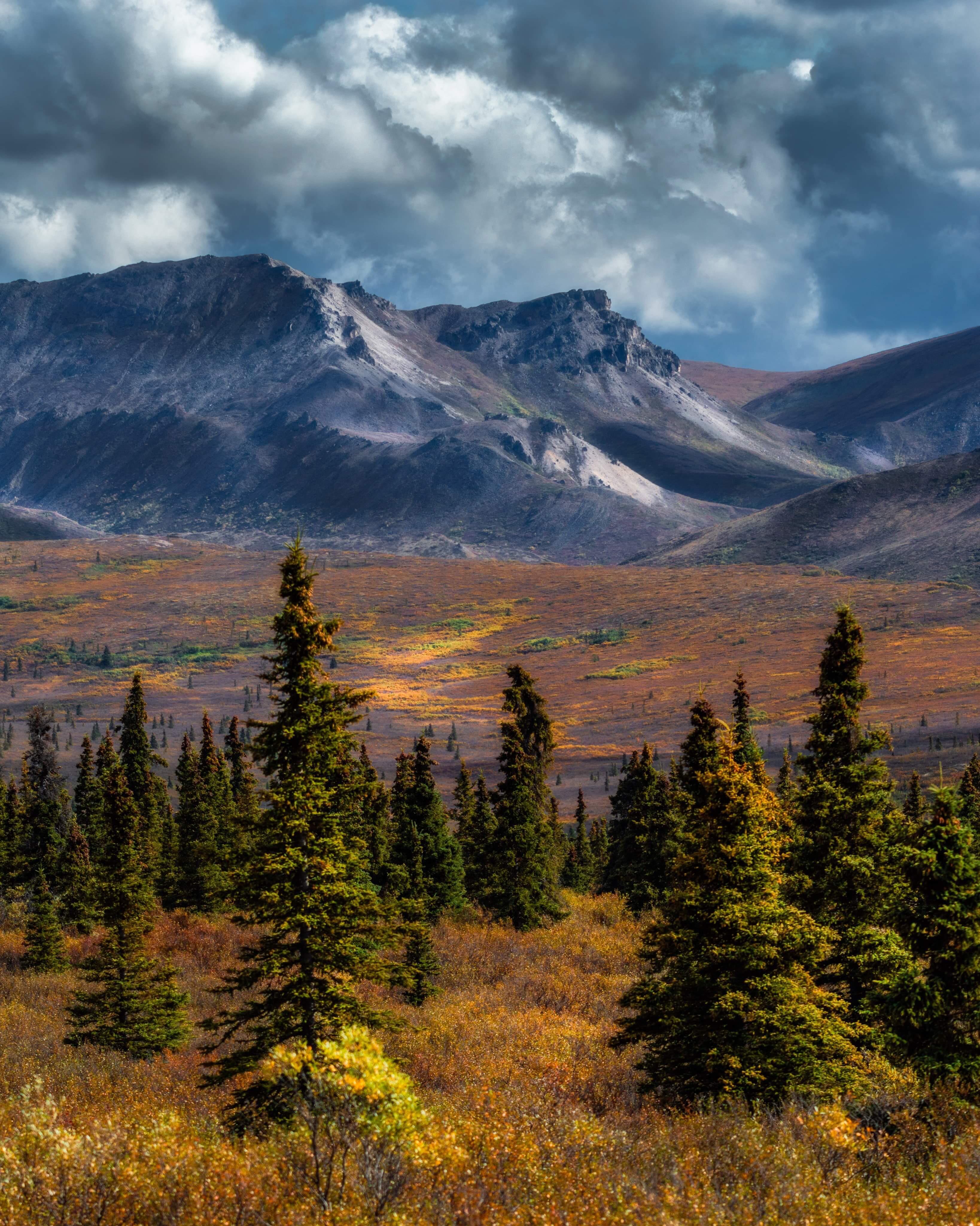 Alaskan tundra - early fall | Scrolller