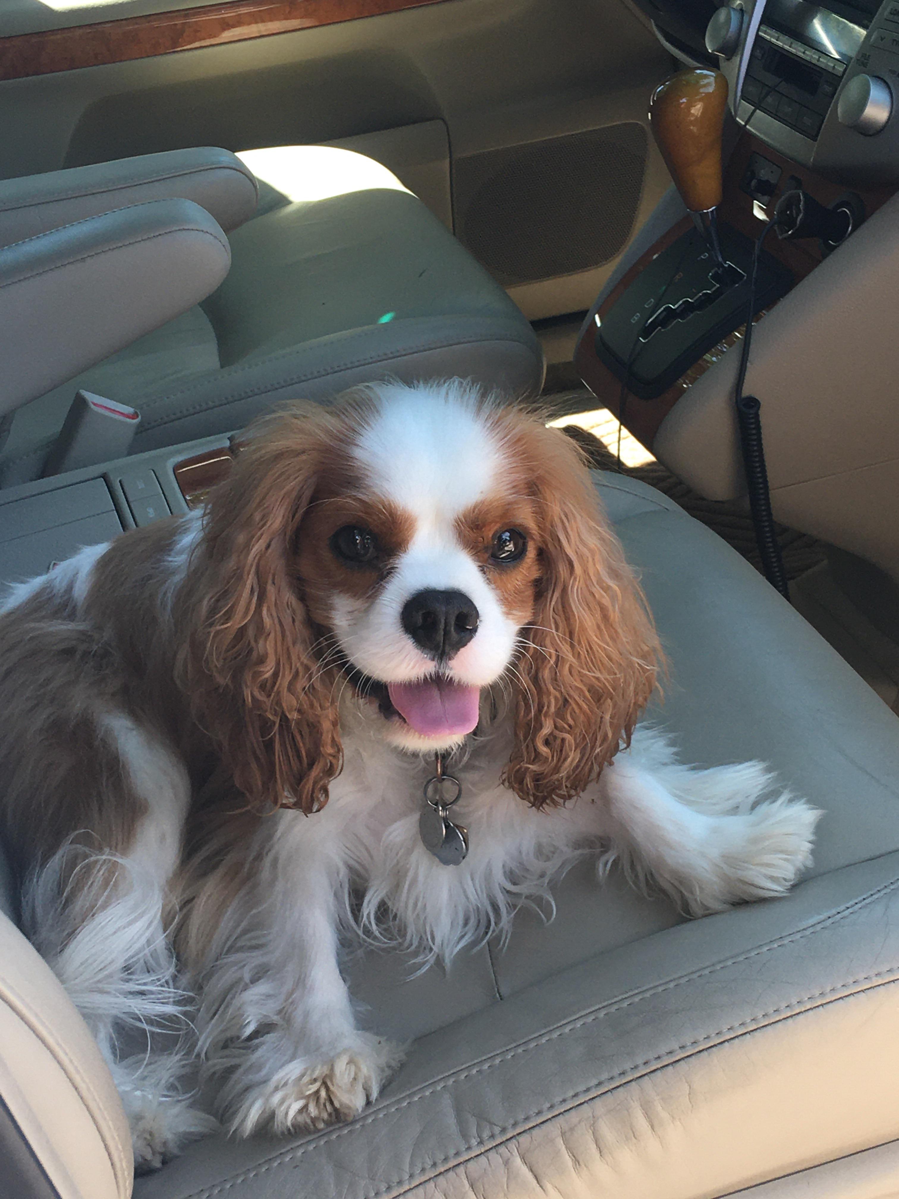 Alex, my favorite copilot | Scrolller