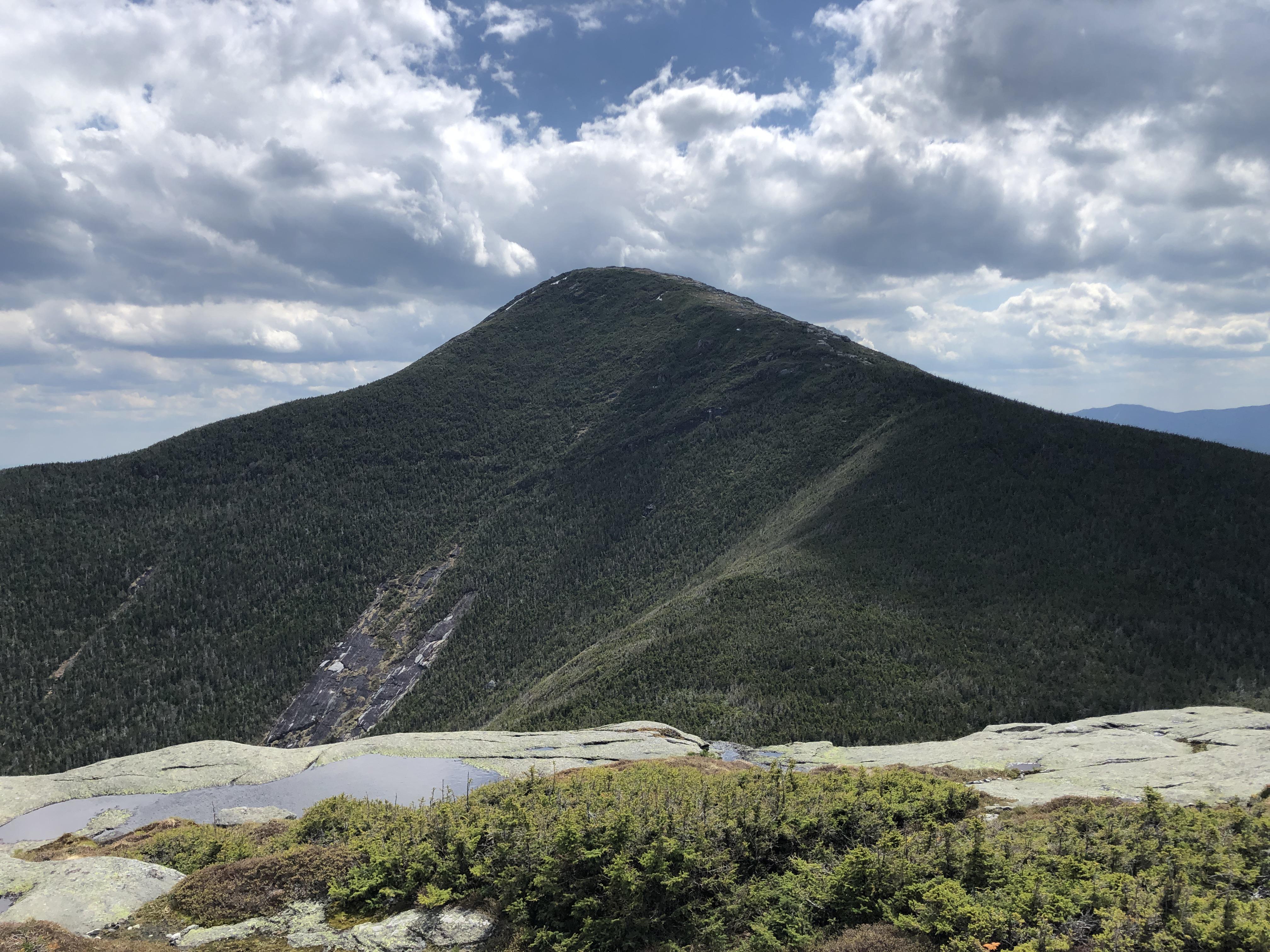 Algonquin view from Wright Peak summit 6/4/20 | Scrolller