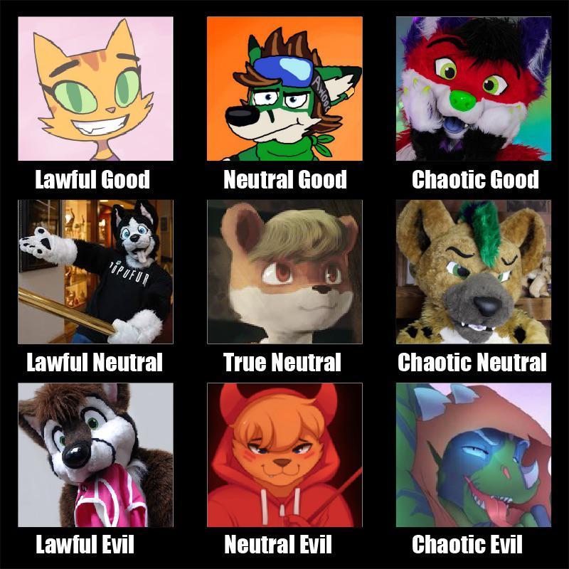 alignment_irl | Scrolller