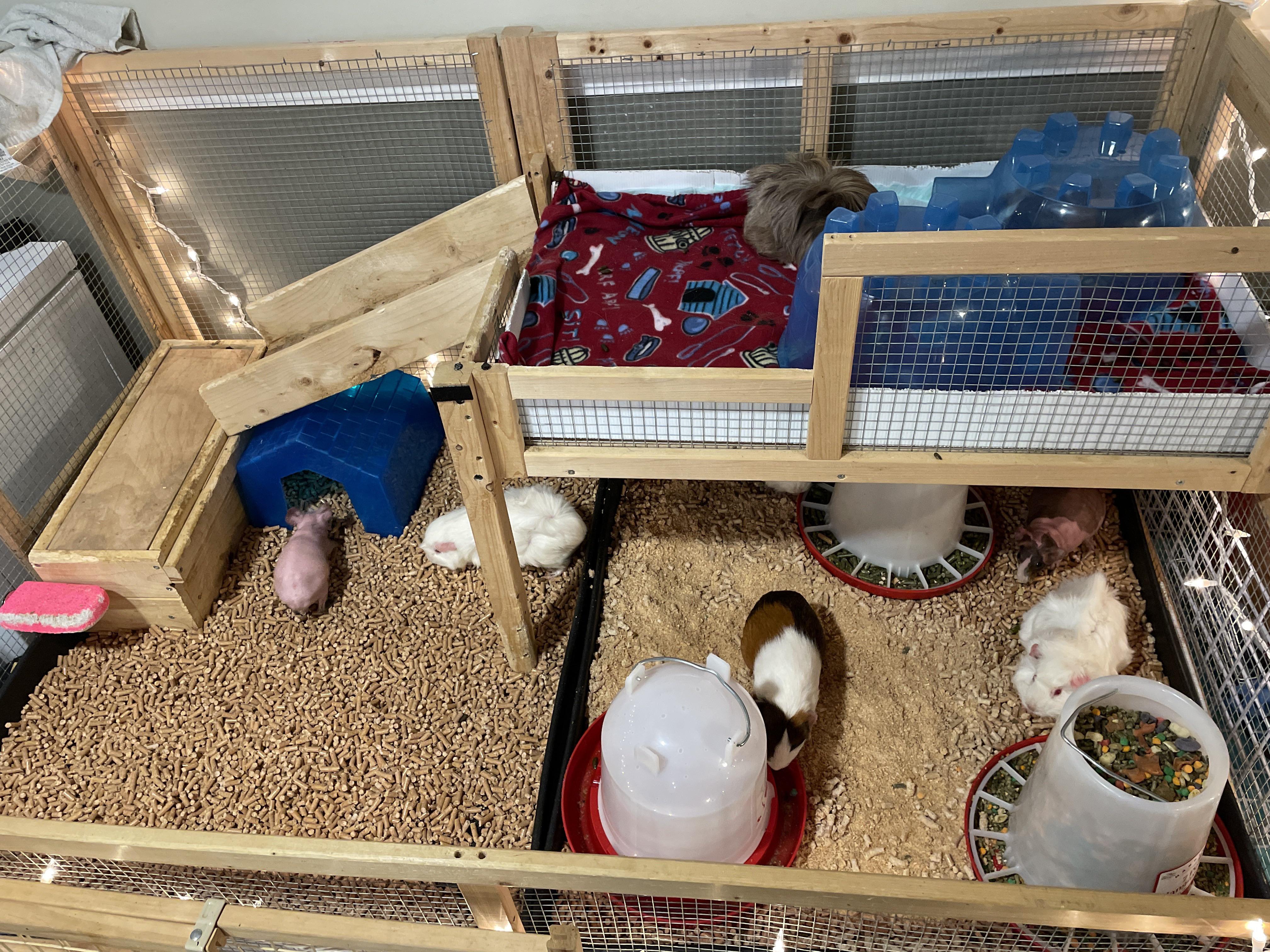 All cleaned up 🧹 😊 | Scrolller