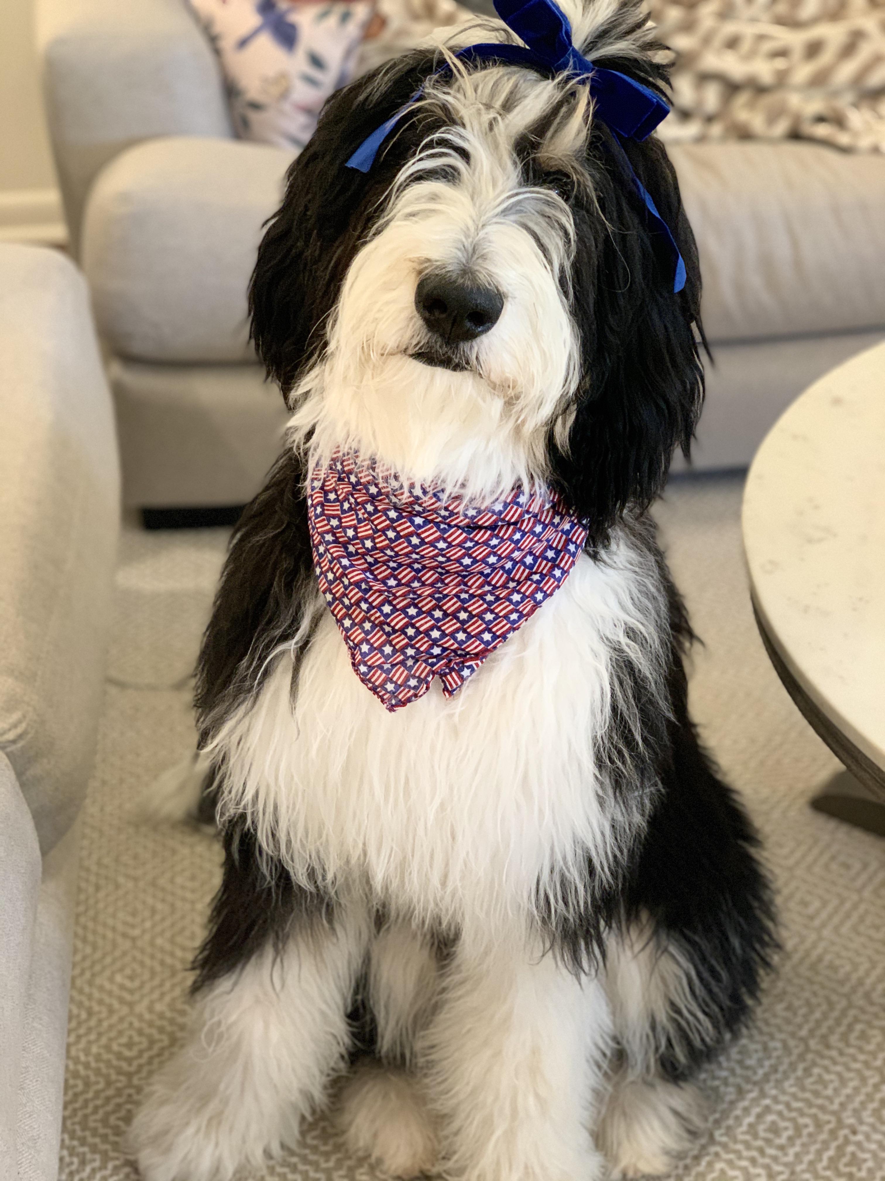 All dressed up and nowhere to go!! | Scrolller