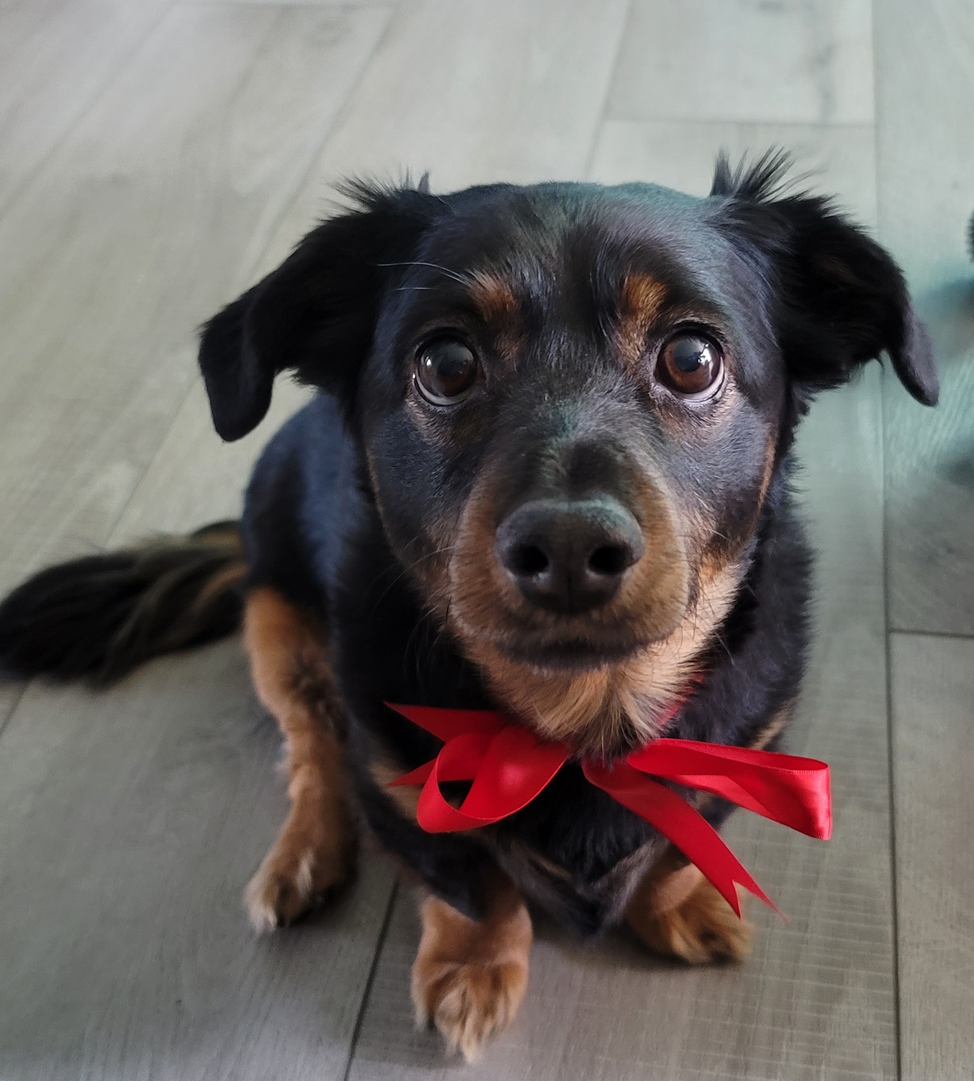 All Dressed Up, Nowhere to go. | Scrolller