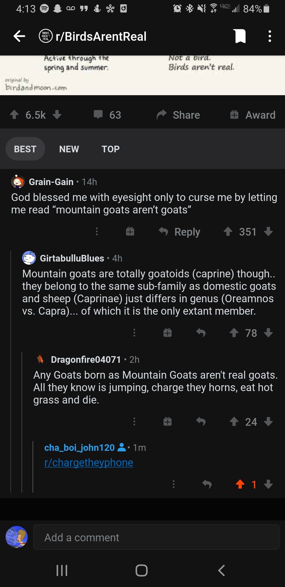 All goats know | Scrolller