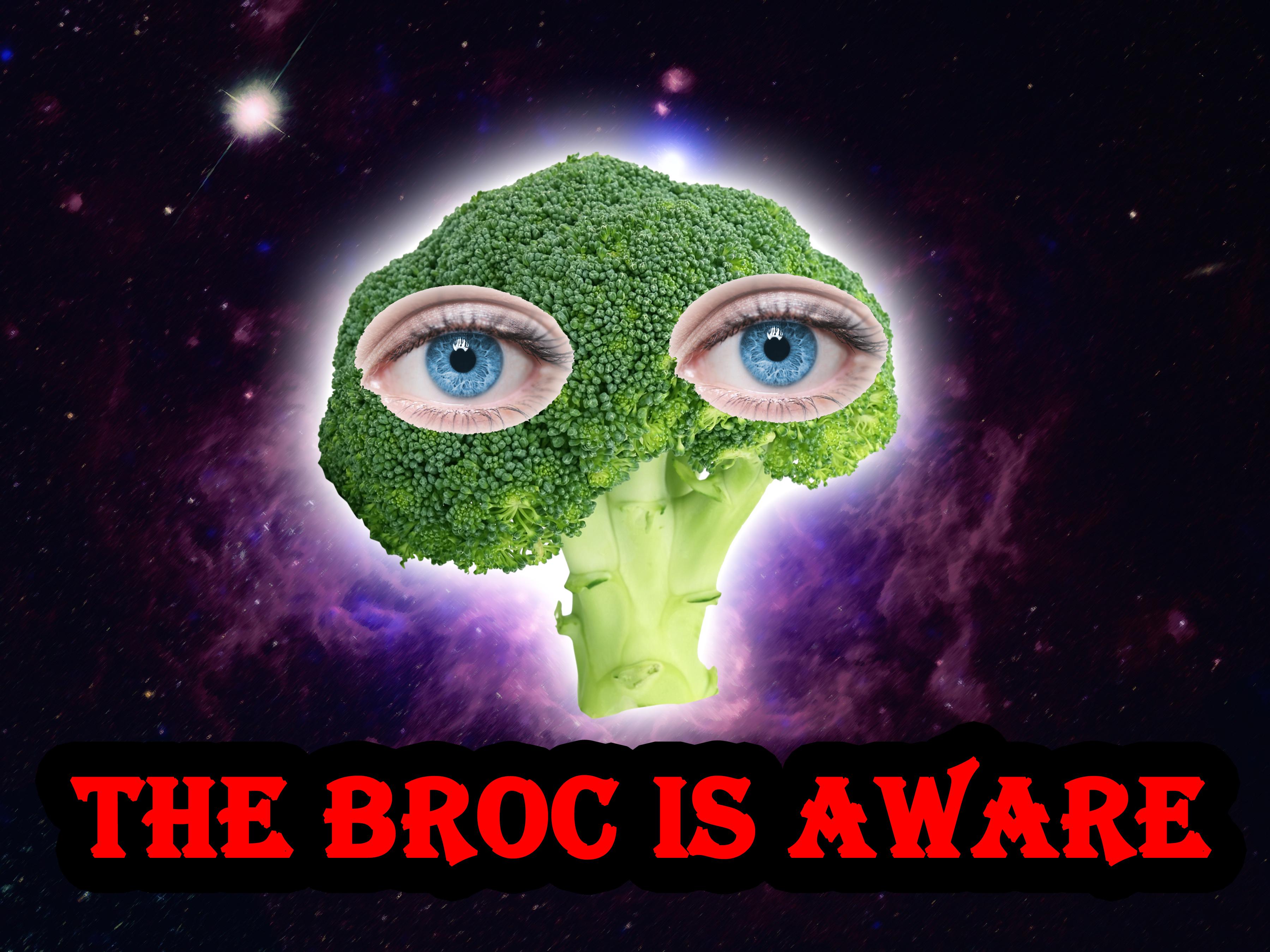 All hail the broc | Scrolller
