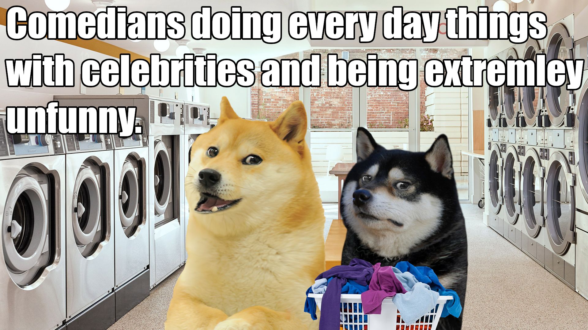 all new tv show | Scrolller