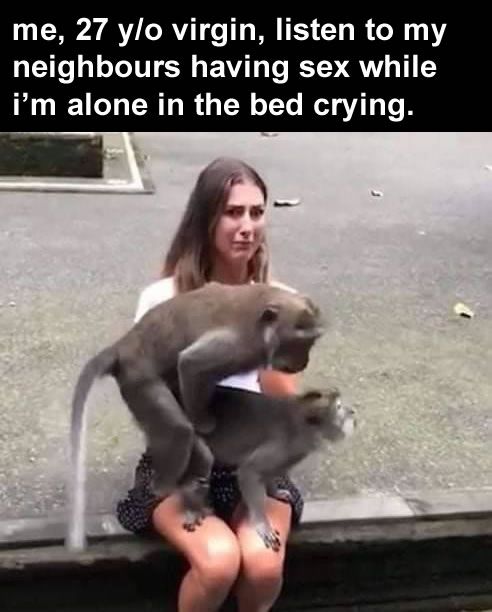 All nite long | Scrolller