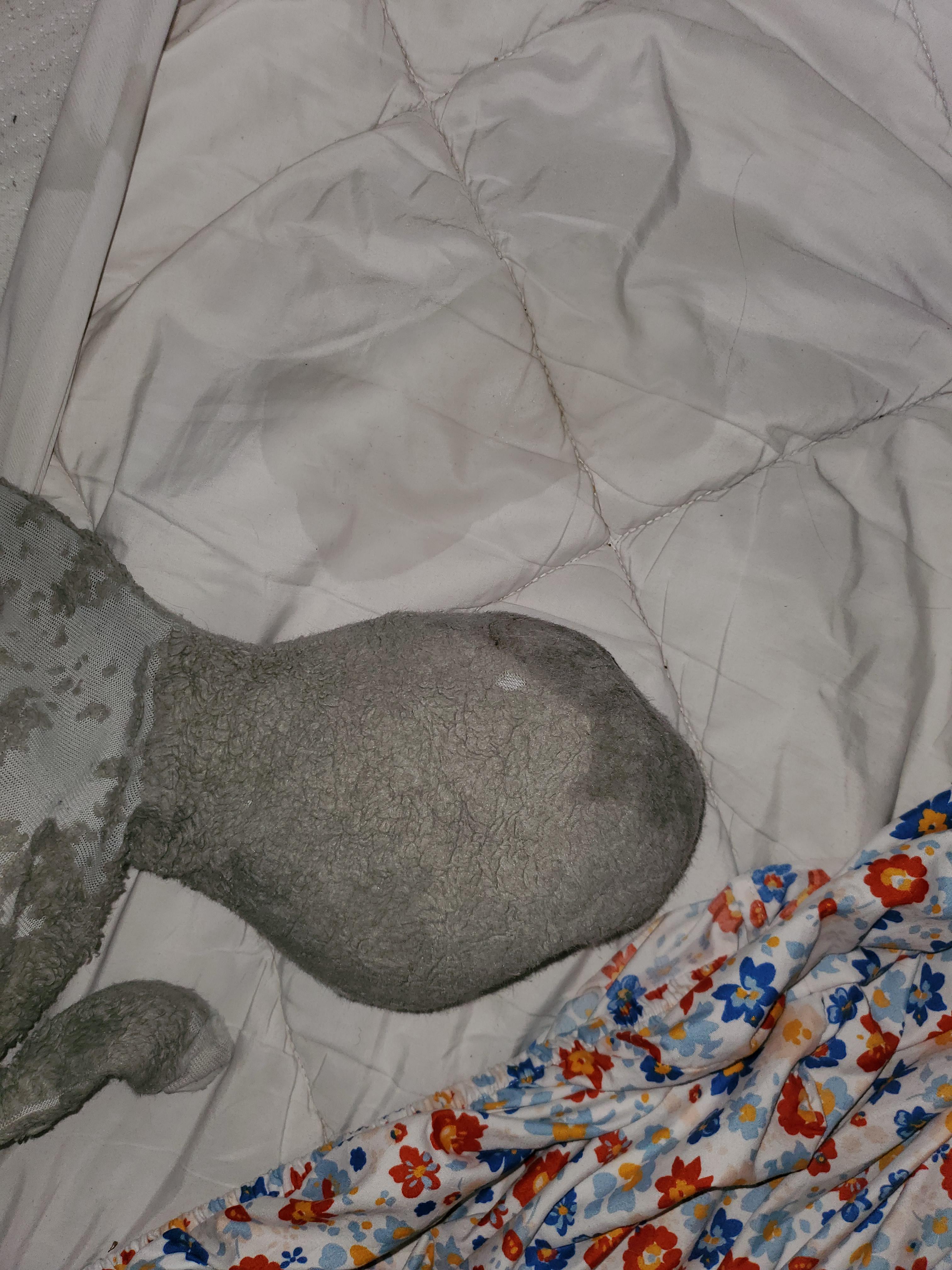 All over my stuffy + comforter 🥵 | Scrolller