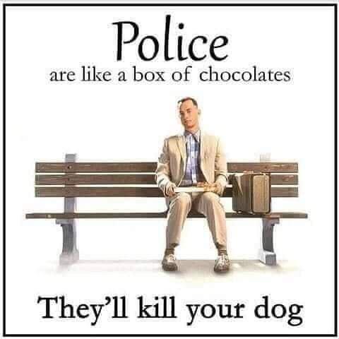 all rules are bastards | Scrolller