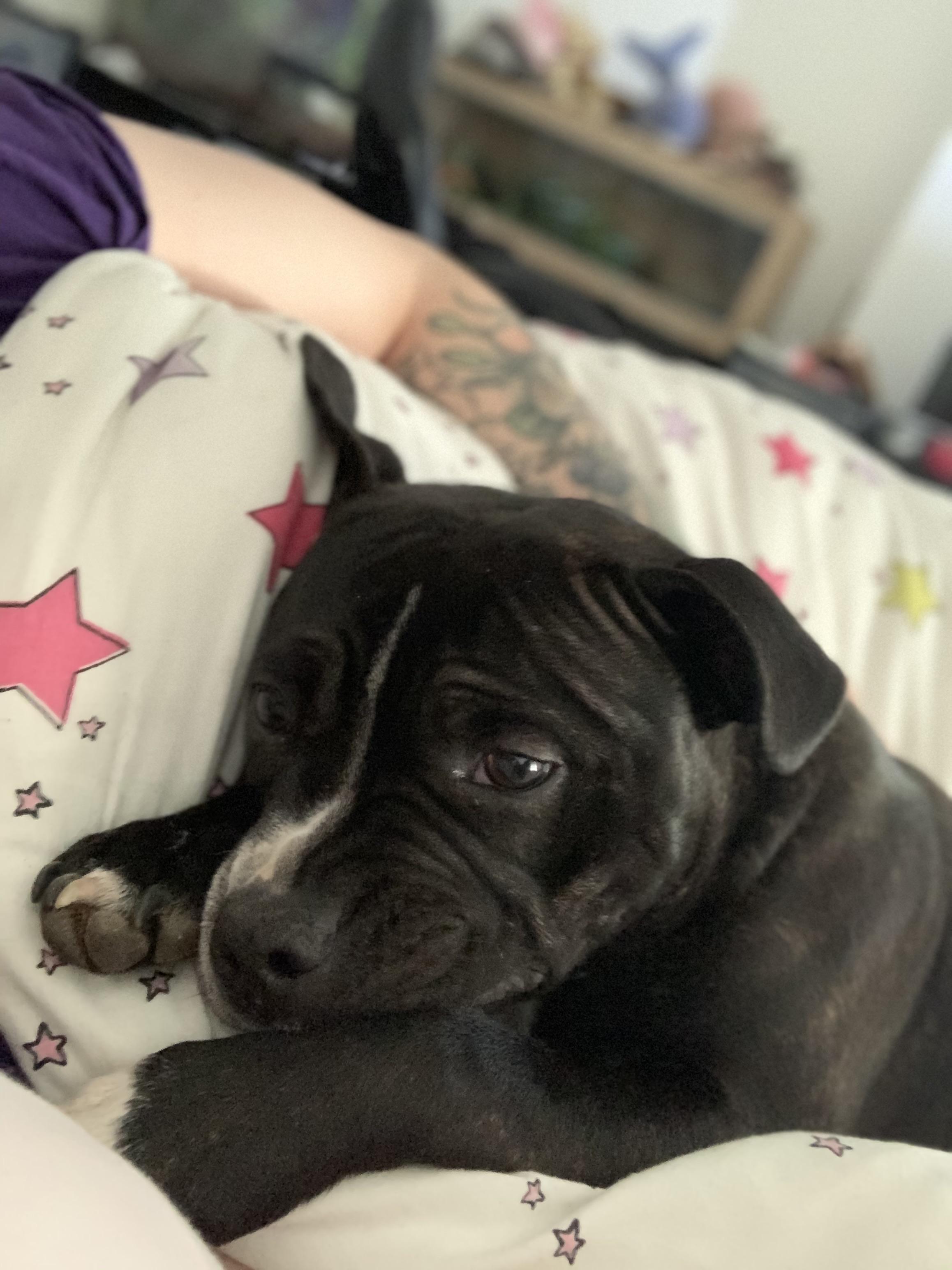 All squished up in bed | Scrolller