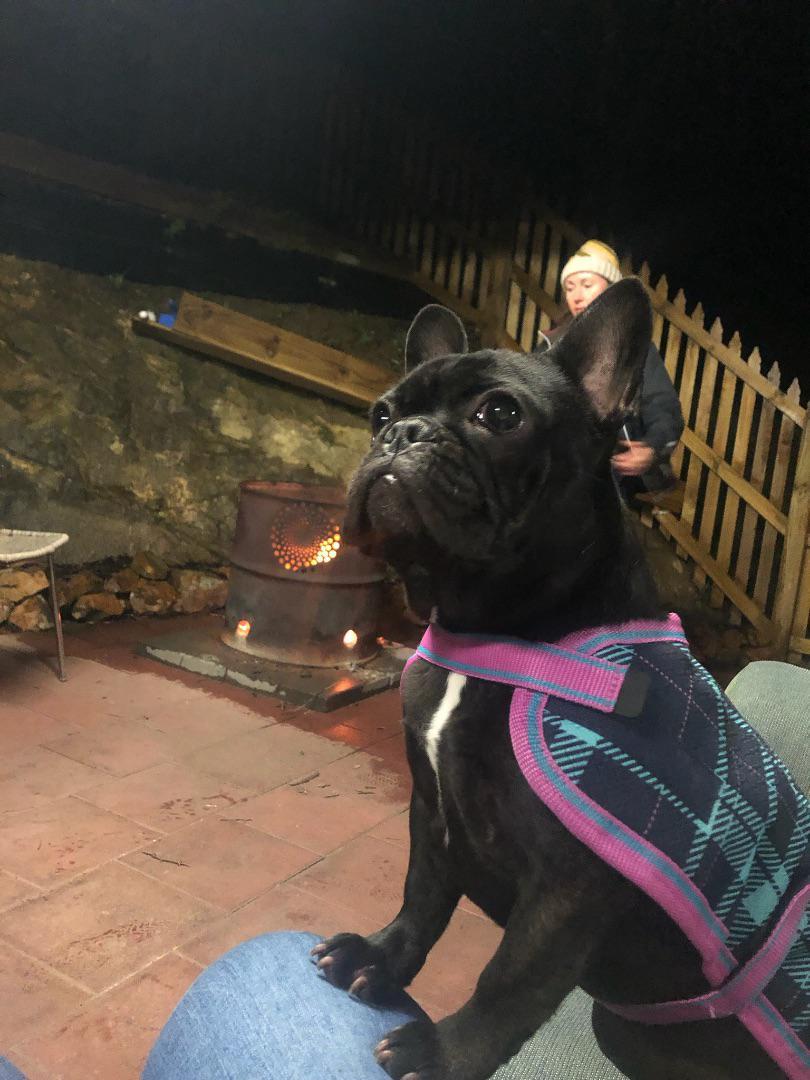 All stand for the Queen in her royal winter coat ! | Scrolller