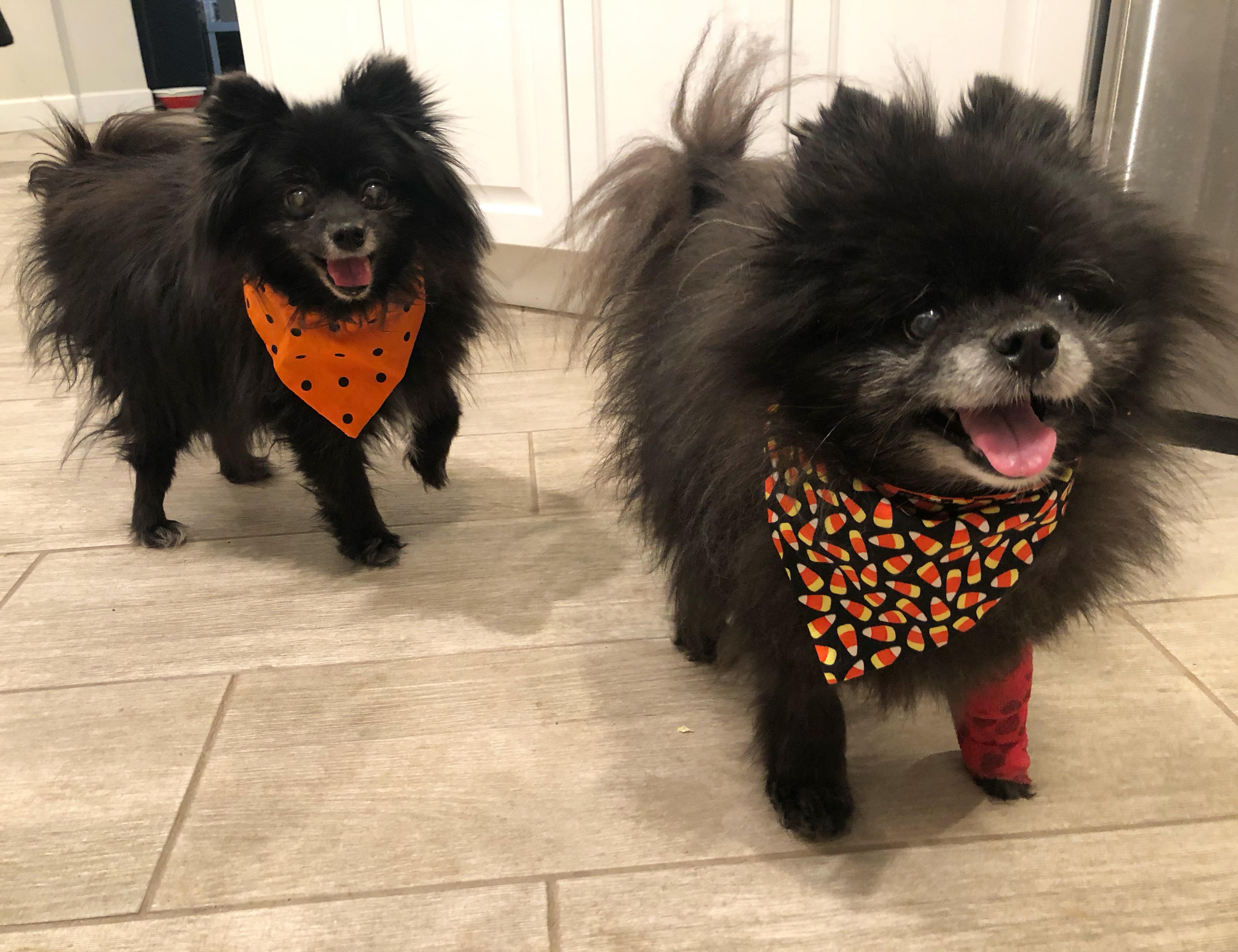 All treats with these two sweets | Scrolller