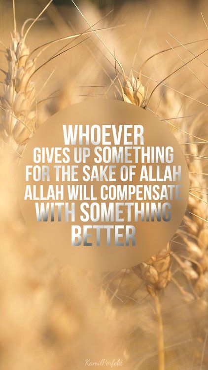 Allah will compensate you with something better | Scrolller
