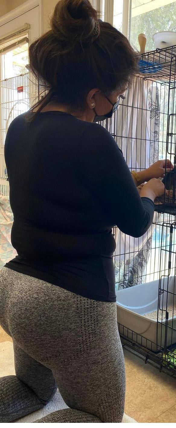 Alma Hernandez | Scrolller