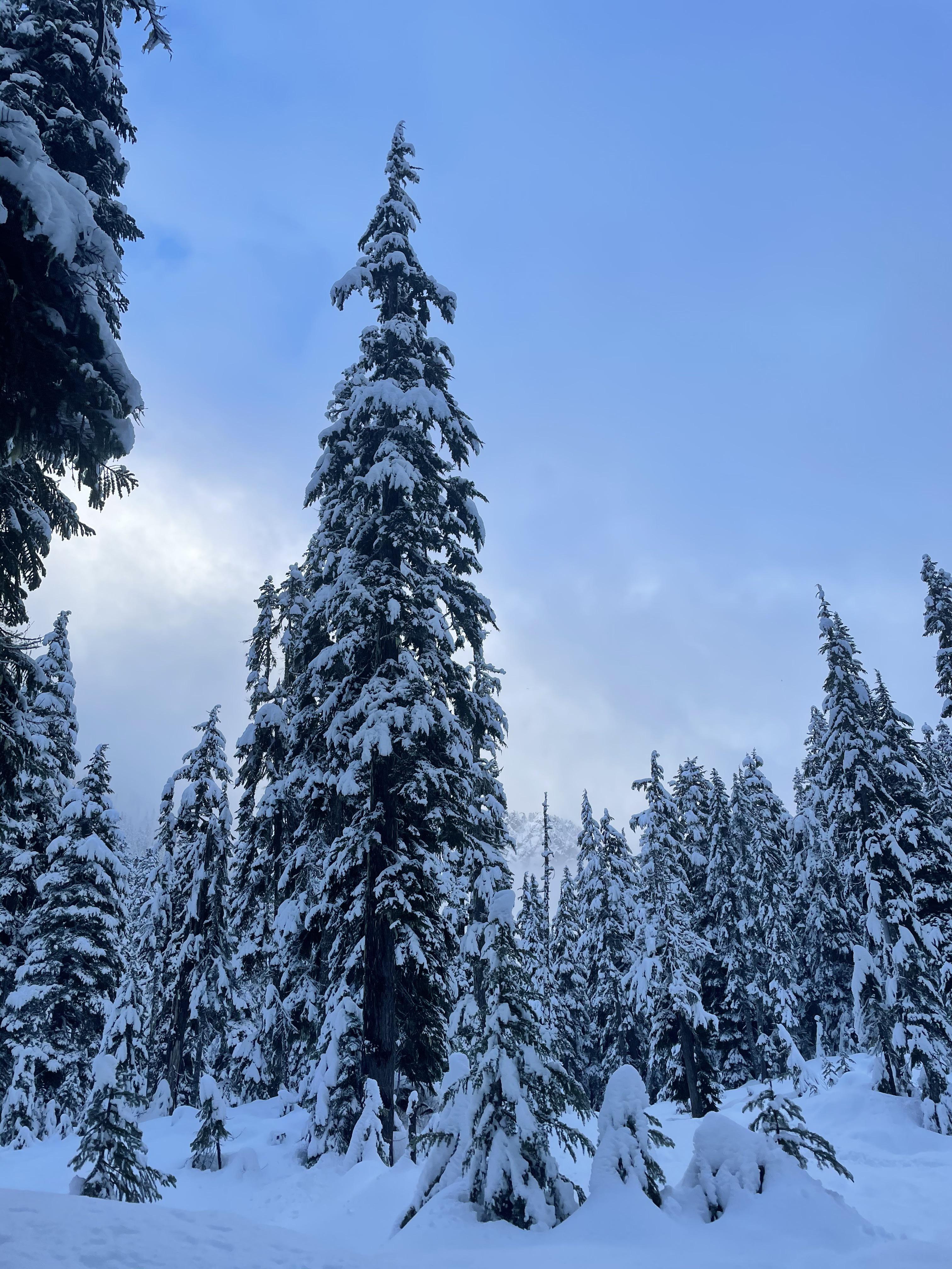Alpental Snow Lake trail | Scrolller Alpental Snow Lake trail | Scrolller