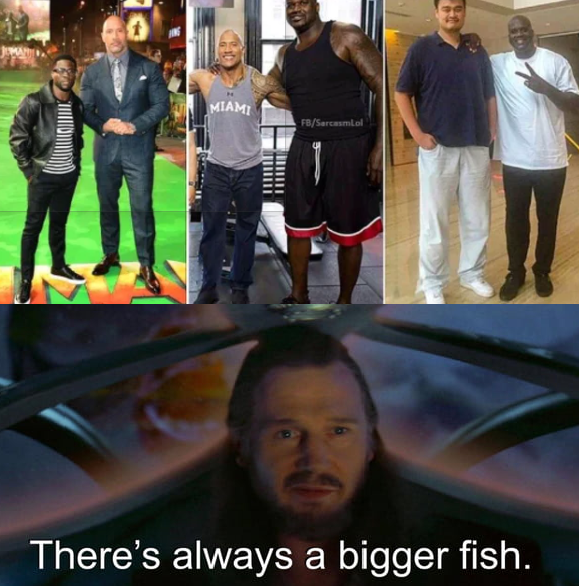 Always a Bigger Fish | Scrolller