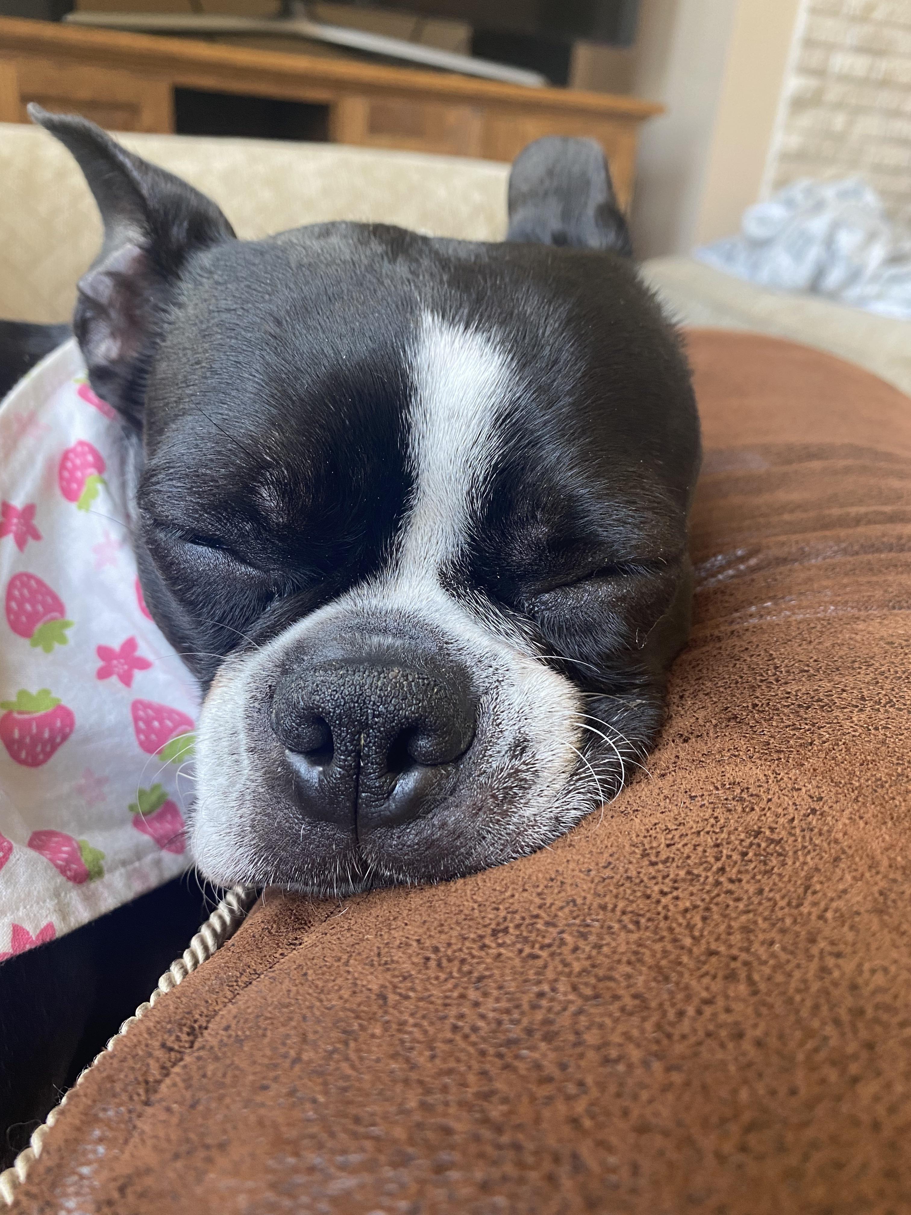 Always Tired | Scrolller