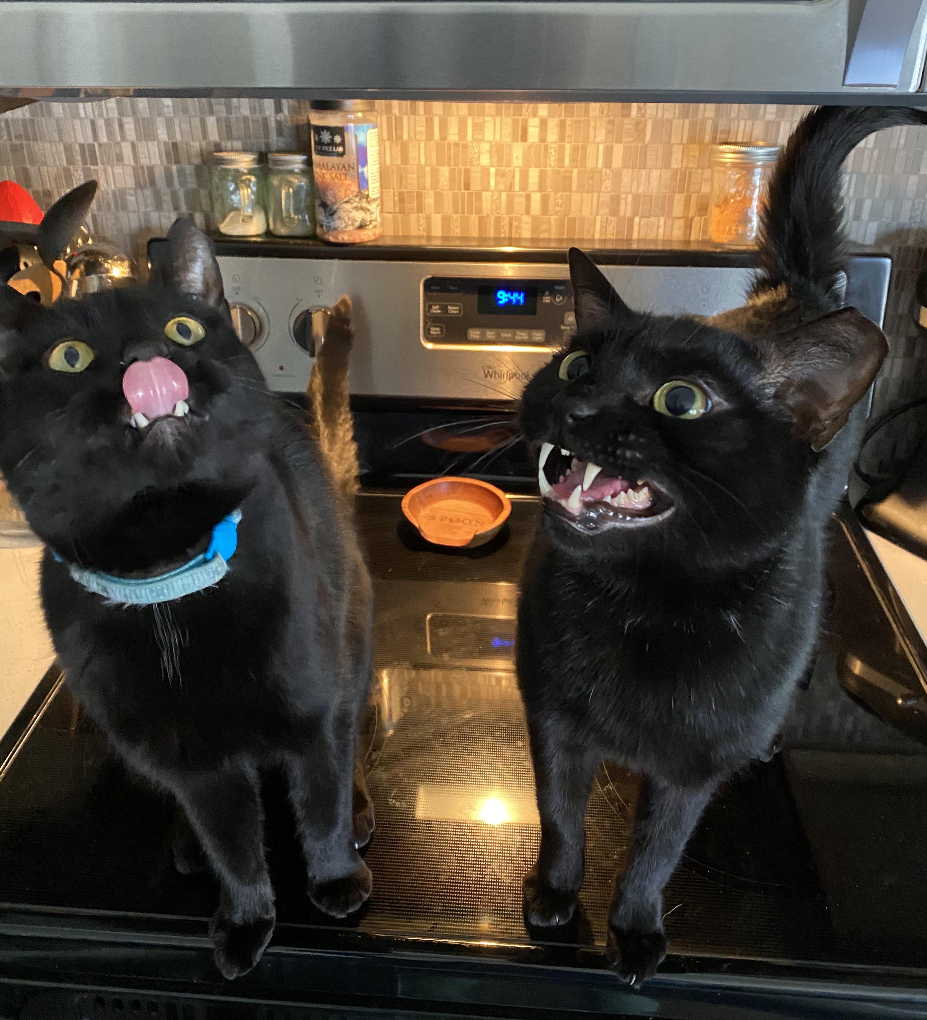 Always yelling about something | Scrolller