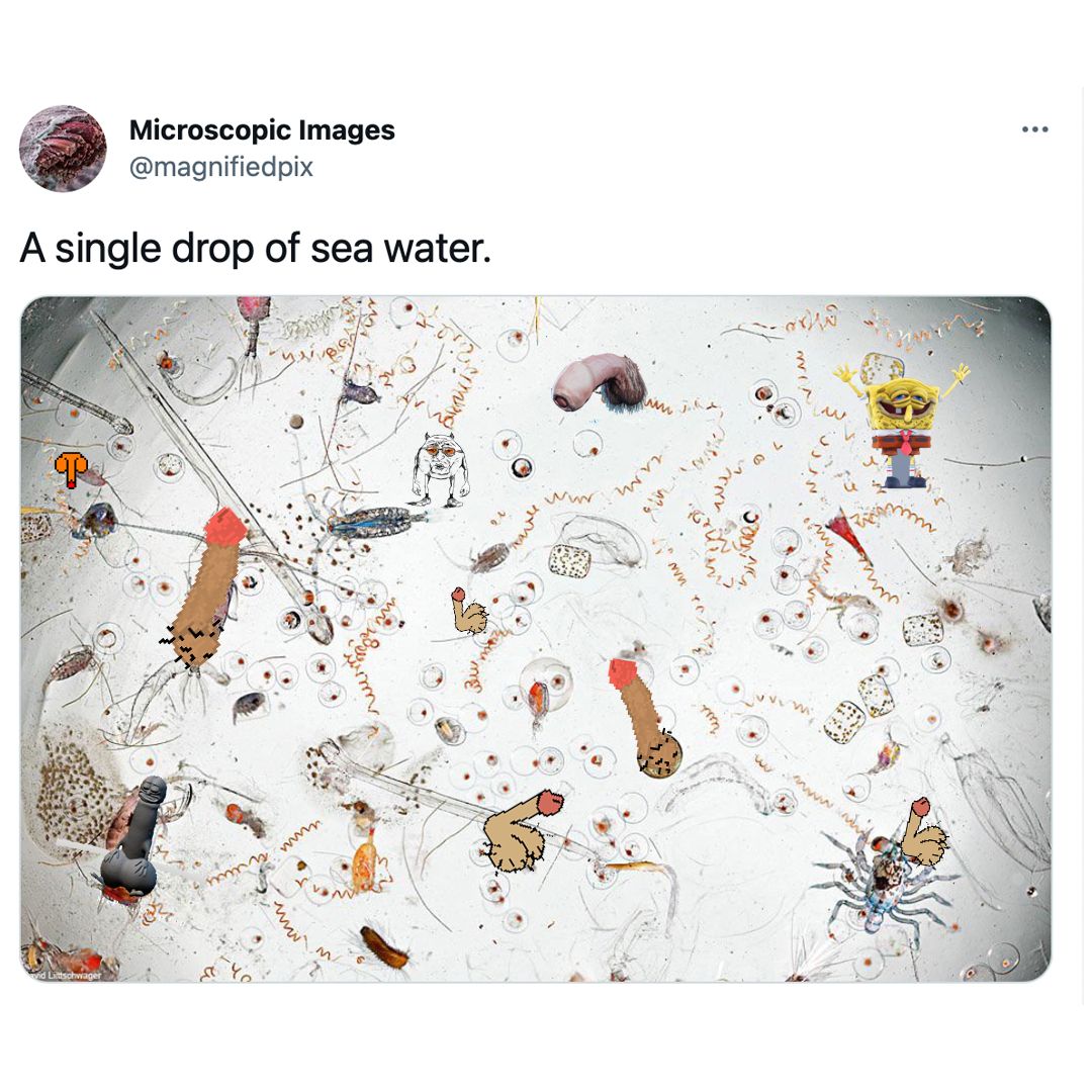 amazing discovery guys | Scrolller