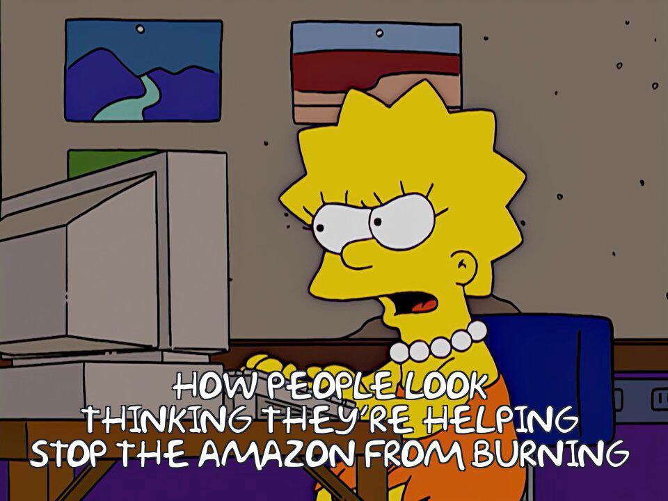 Amazon burning | Scrolller