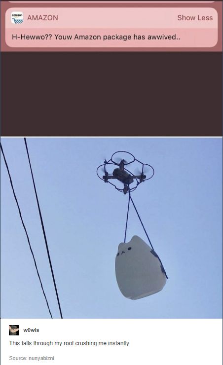 Amazon Pwime | Scrolller