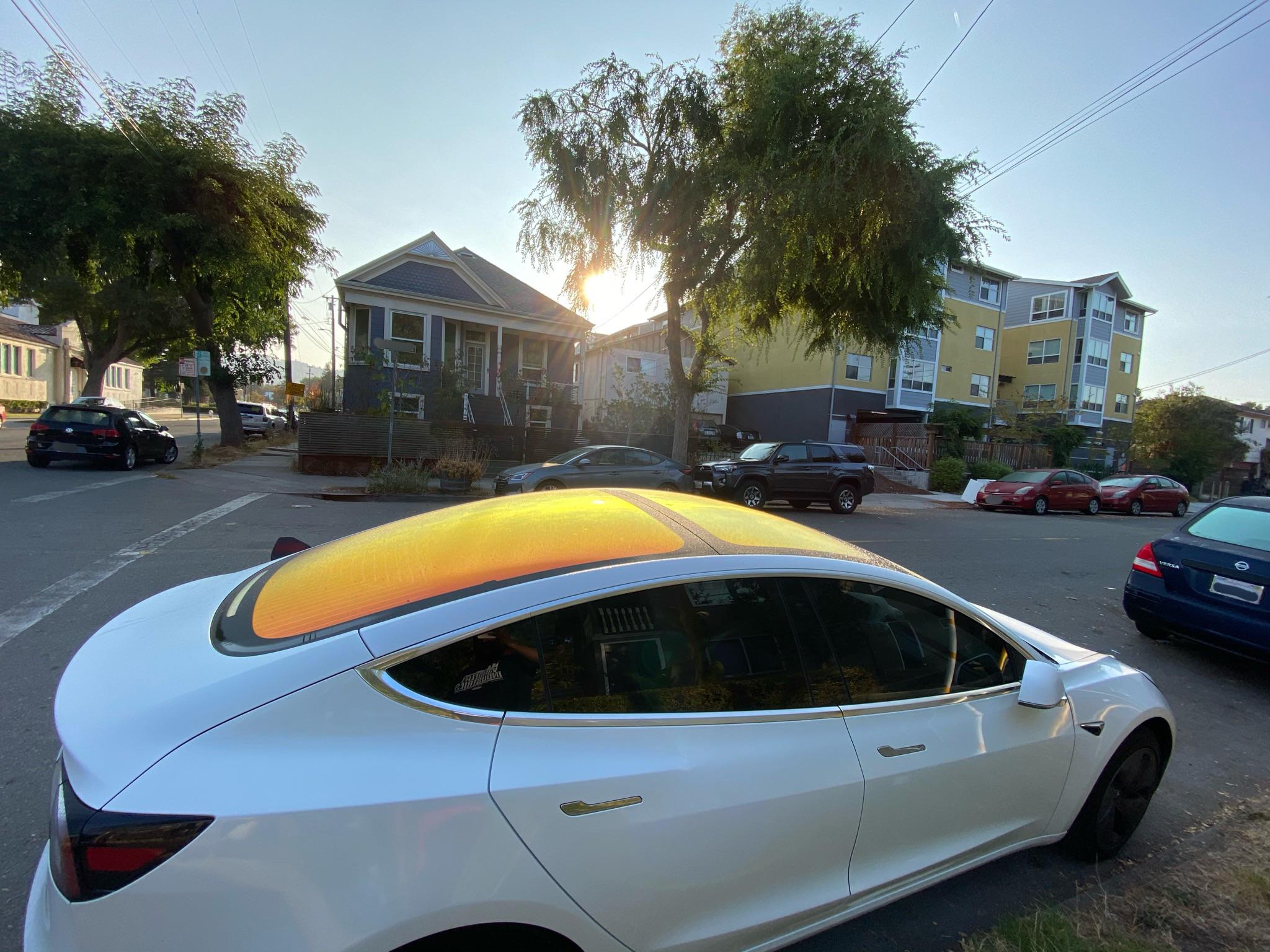 Amber is the color of your energy...⚡️🌞 | Scrolller