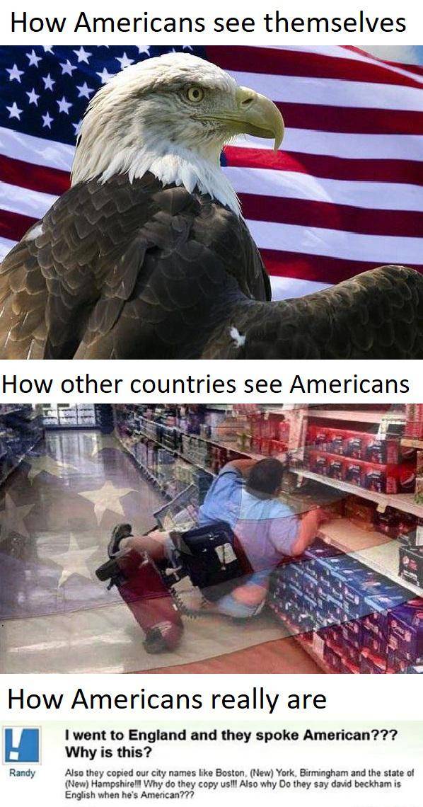 America lol | Scrolller