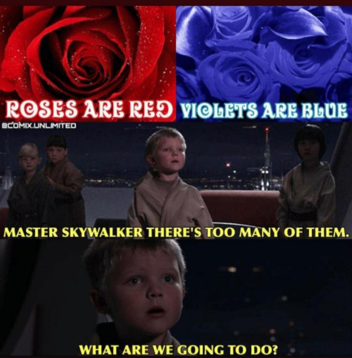 Master Skywalker! | Scrolller