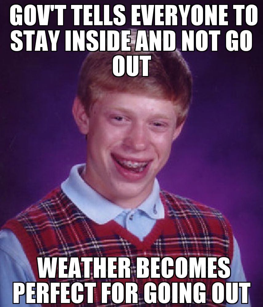 An interesting title | Scrolller