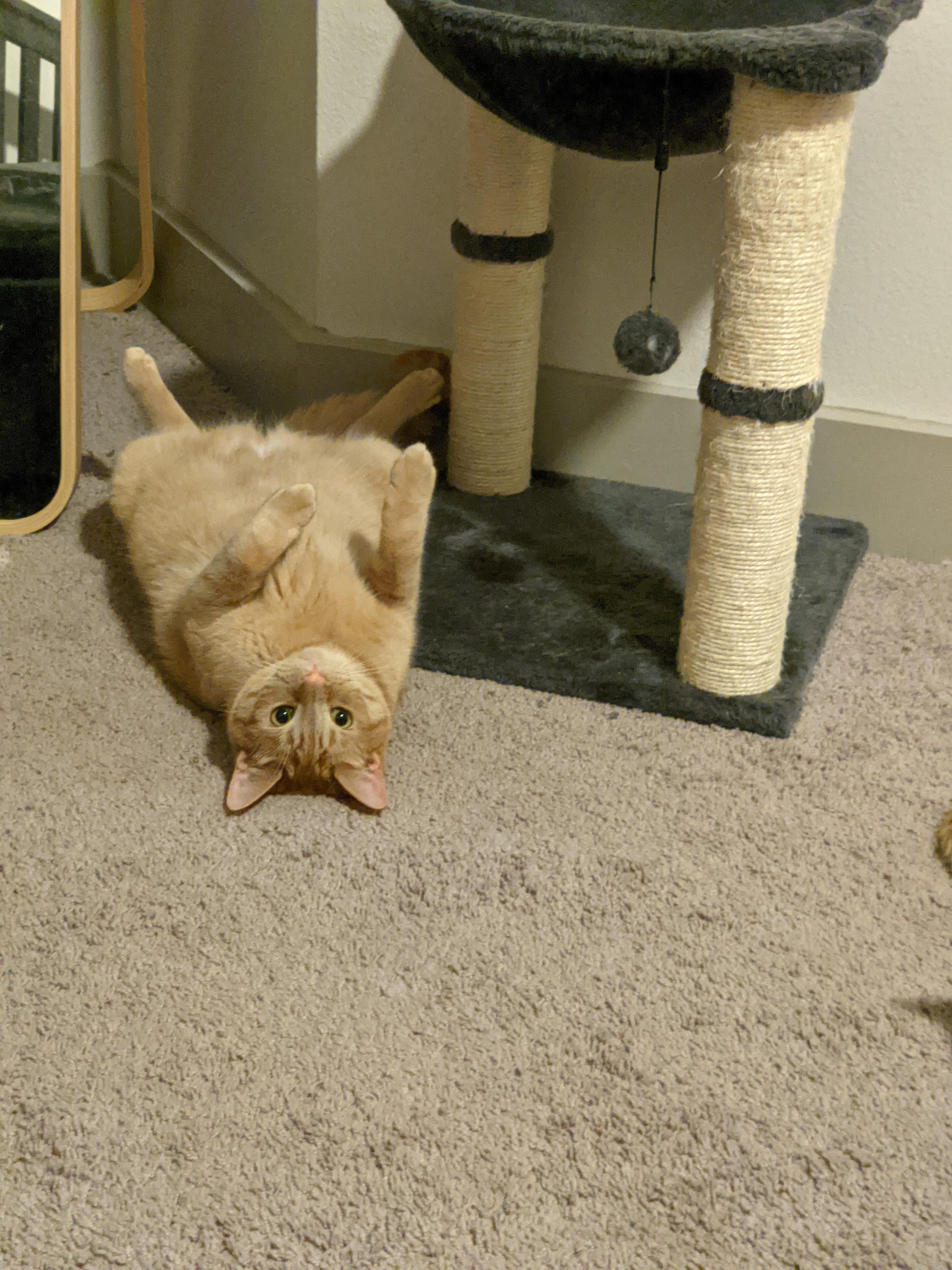 An upside down loaf! | Scrolller