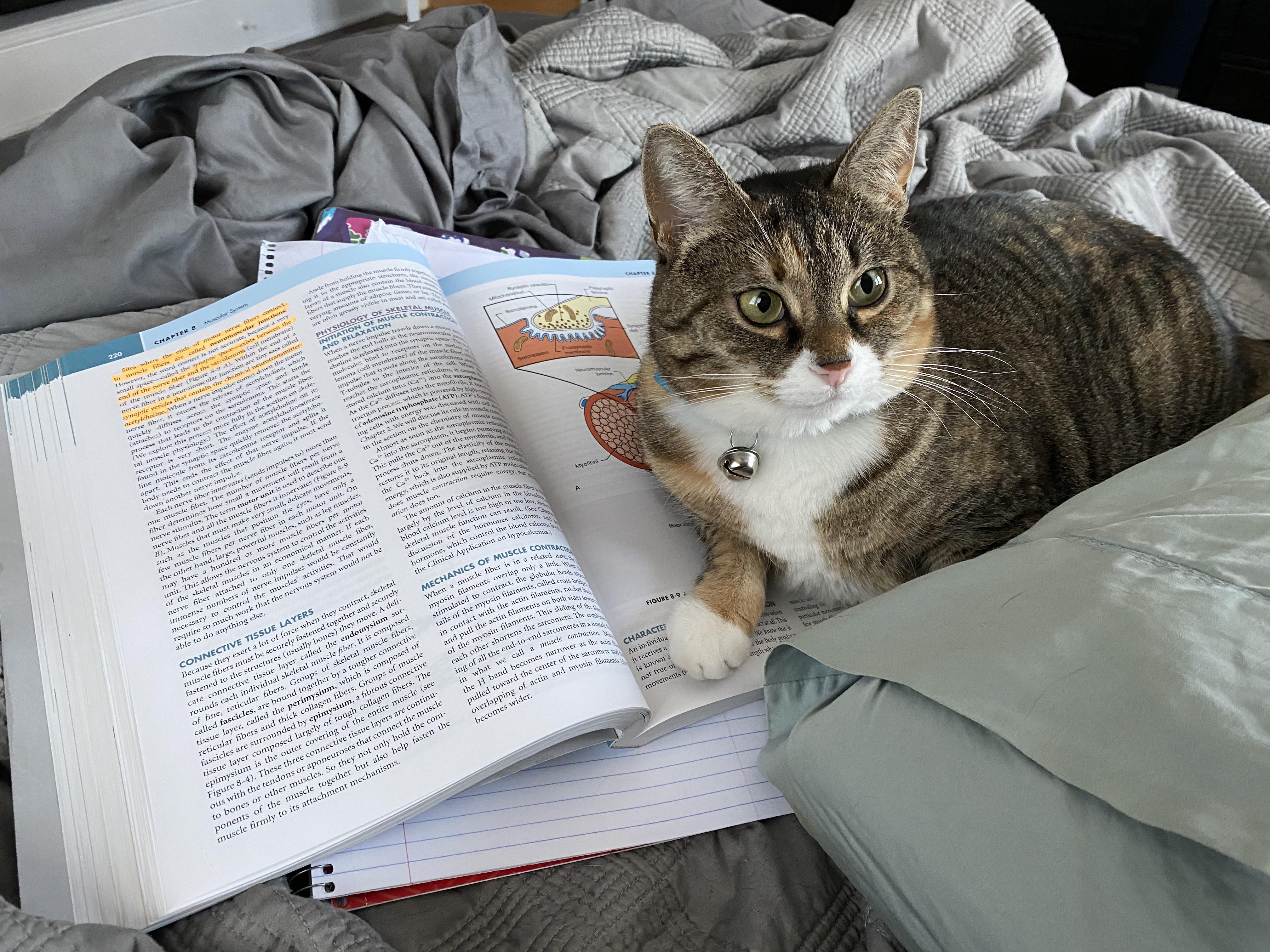 Anatomy and Physiology Study Buddy | Scrolller