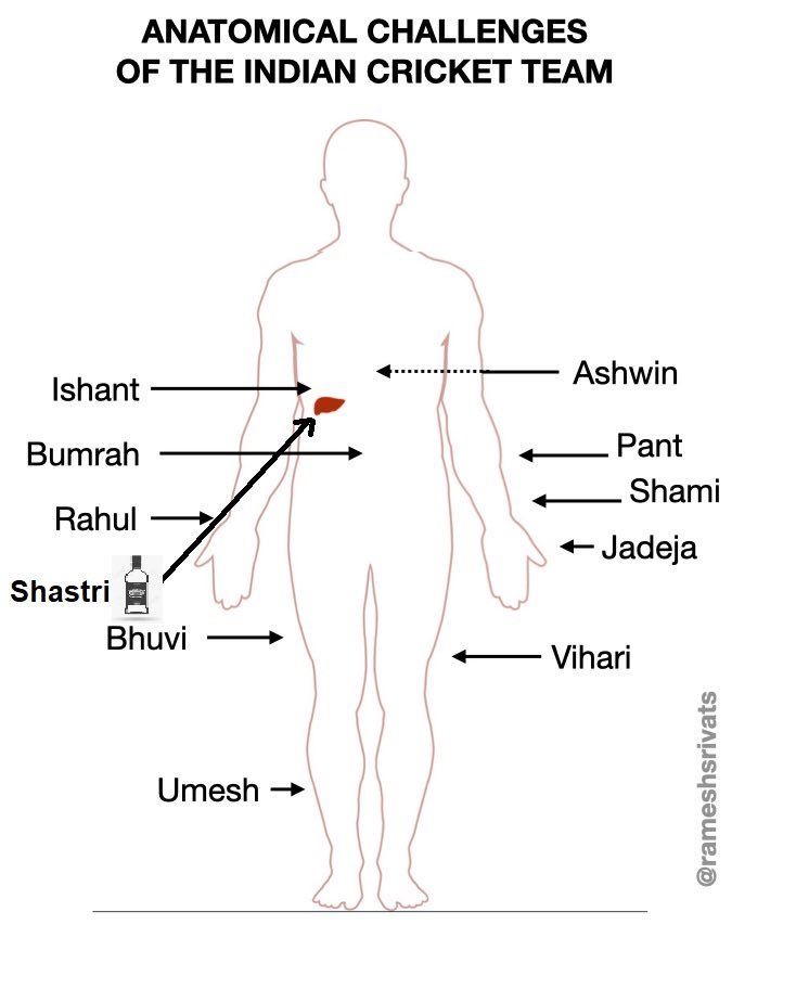 Anatomy of Indian Cricket Team Injuries | Scrolller