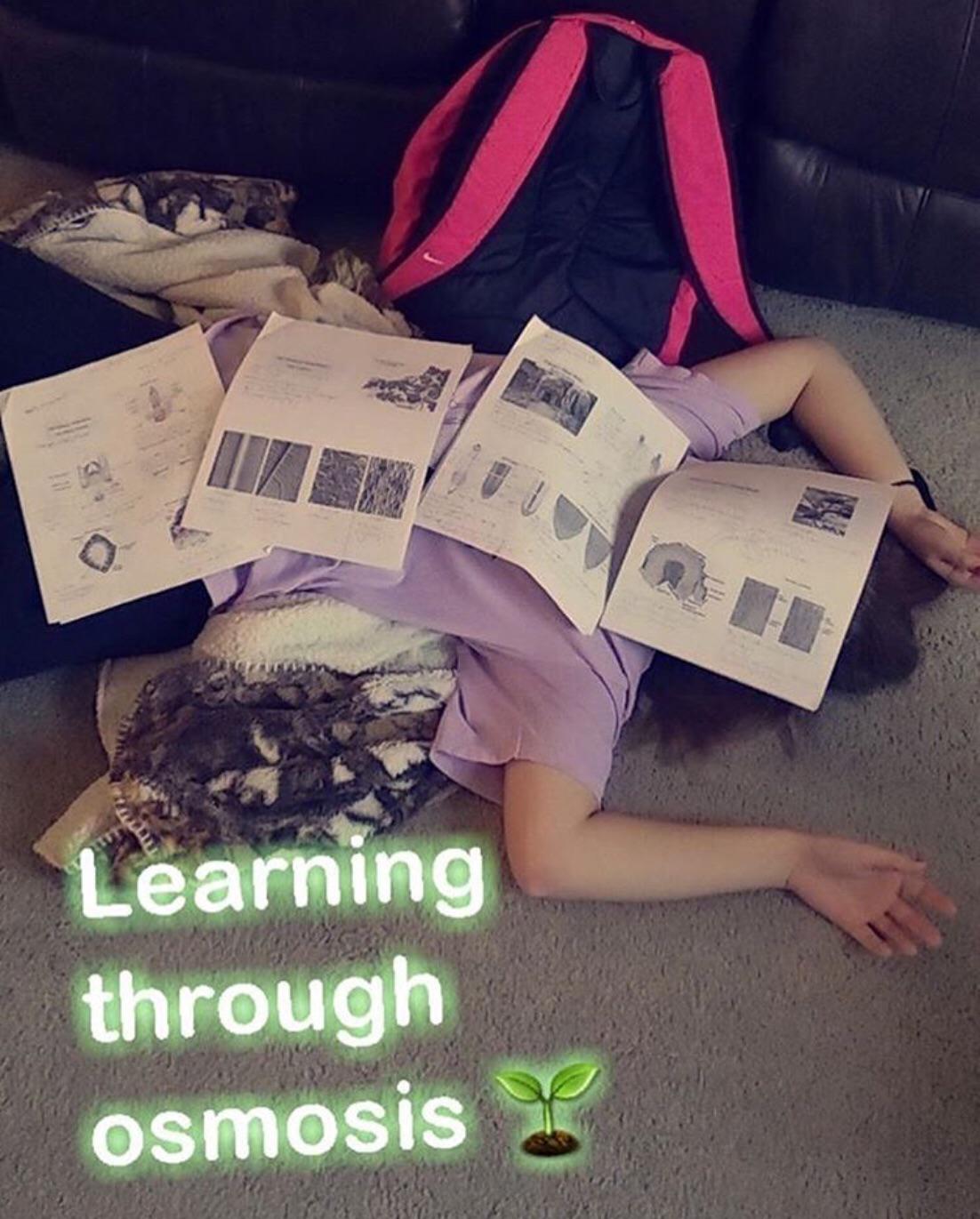 And it works! | Scrolller