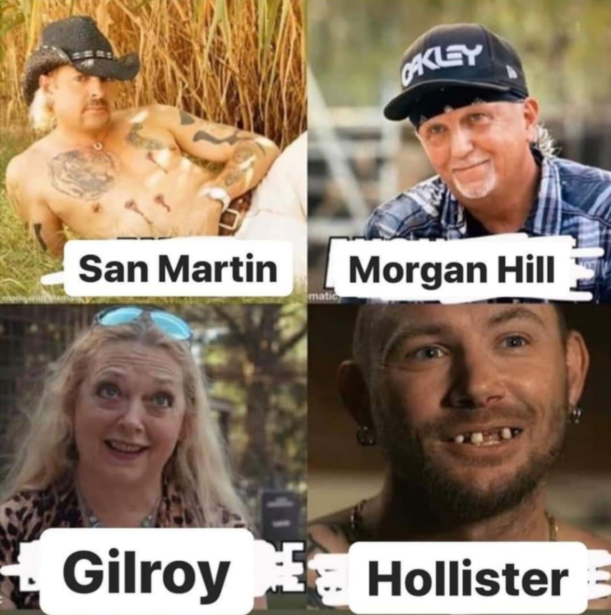 And now for something completely different | Scrolller