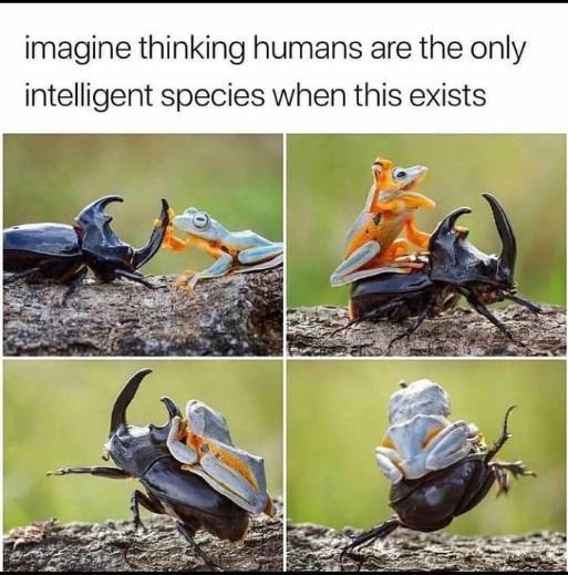 Poggers. | Scrolller