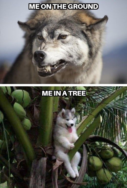 Anger management therapy | Scrolller