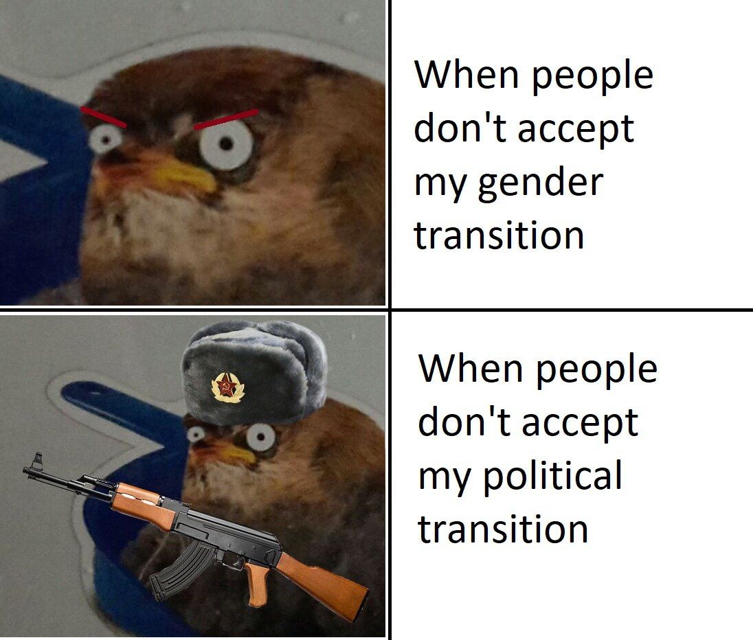 angry birb | Scrolller