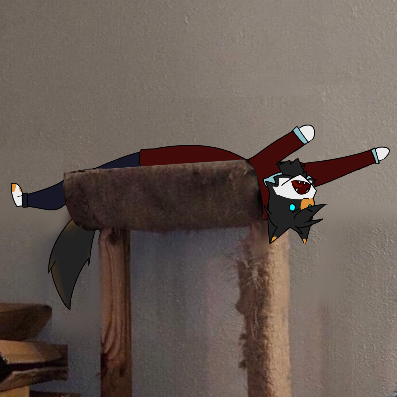 angry_irl | Scrolller