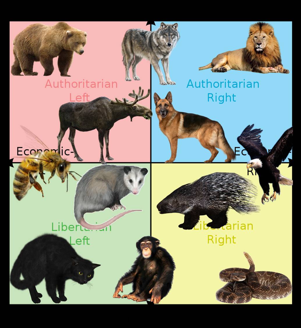 Animal Compass | Scrolller