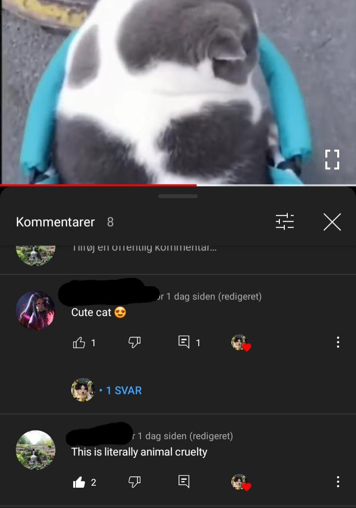 Animal cRUELty | Scrolller