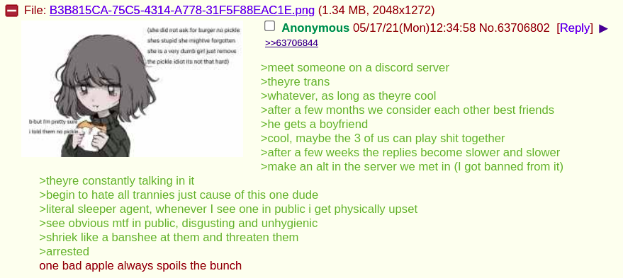 Anon gets arrested | Scrolller